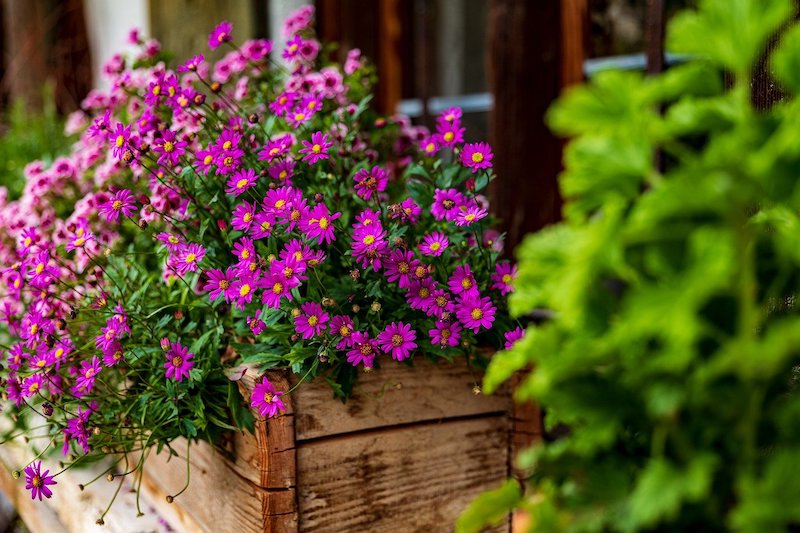 How to Build a Window Box in 6 Easy Steps | Window World